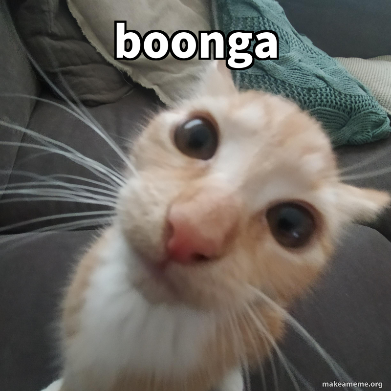 boonga - bbb Meme Generator