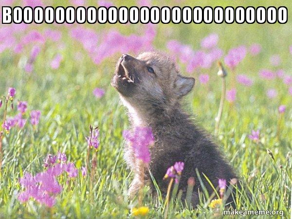 BOOOOOOOOOOOOOOOOOOOOOOOOOO - Baby Insanity Wolf Meme Generator