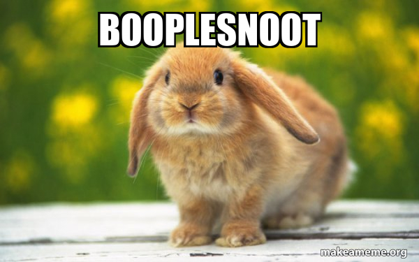 booplesnoot - Regretful Rabbit Meme Generator