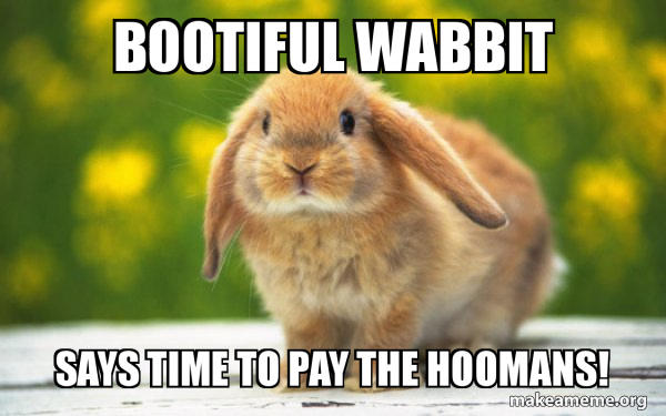 Bootiful Wabbit says time to pay the hoomans! - Regretful Rabbit Meme ...