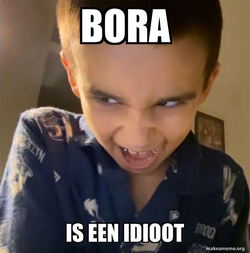 Bora Is een idioot - Ideot Meme Generator