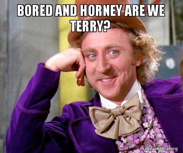 Bored and horney are we terry? - Willy Wonka Sarcasm Meme Meme Generator