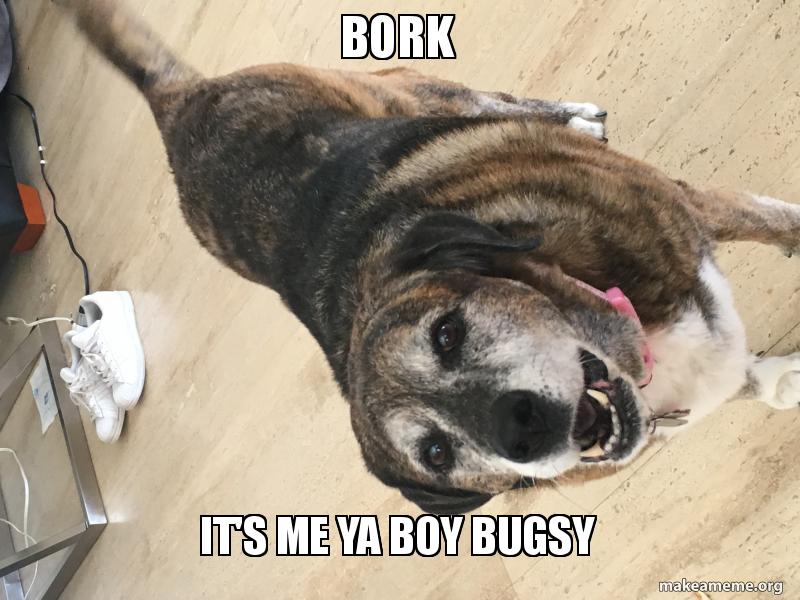 Bork It's me ya boy Bugsy Meme Generator
