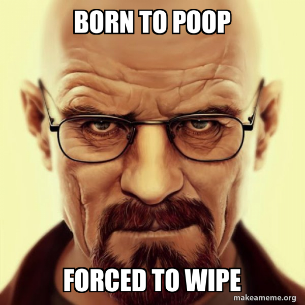 born to poop forced to wipe - Walter White Breaking Bad Meme Generator