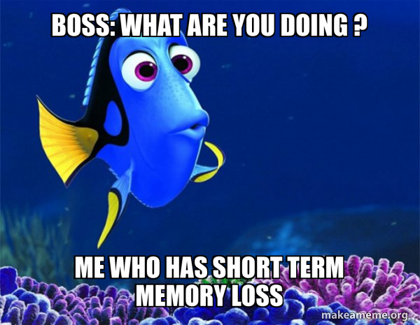 Boss: what are you doing ? Me who has short term memory loss - Dory ...
