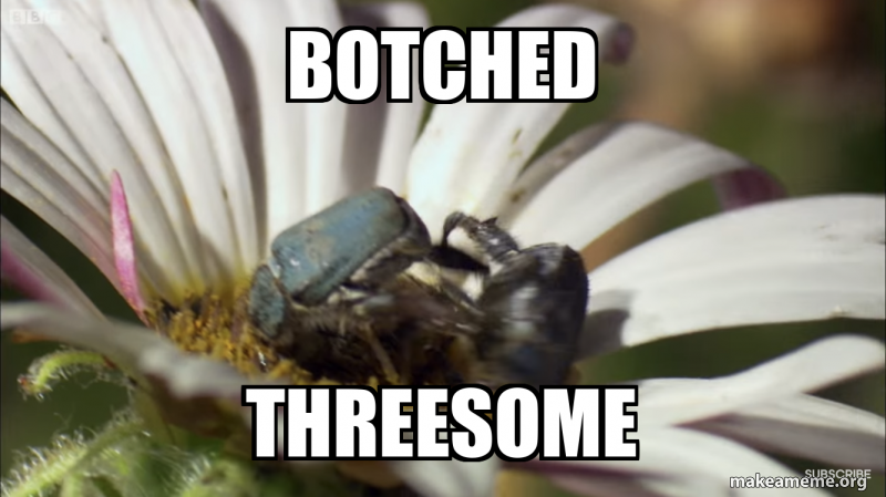 Botched Threesome Meme Generator