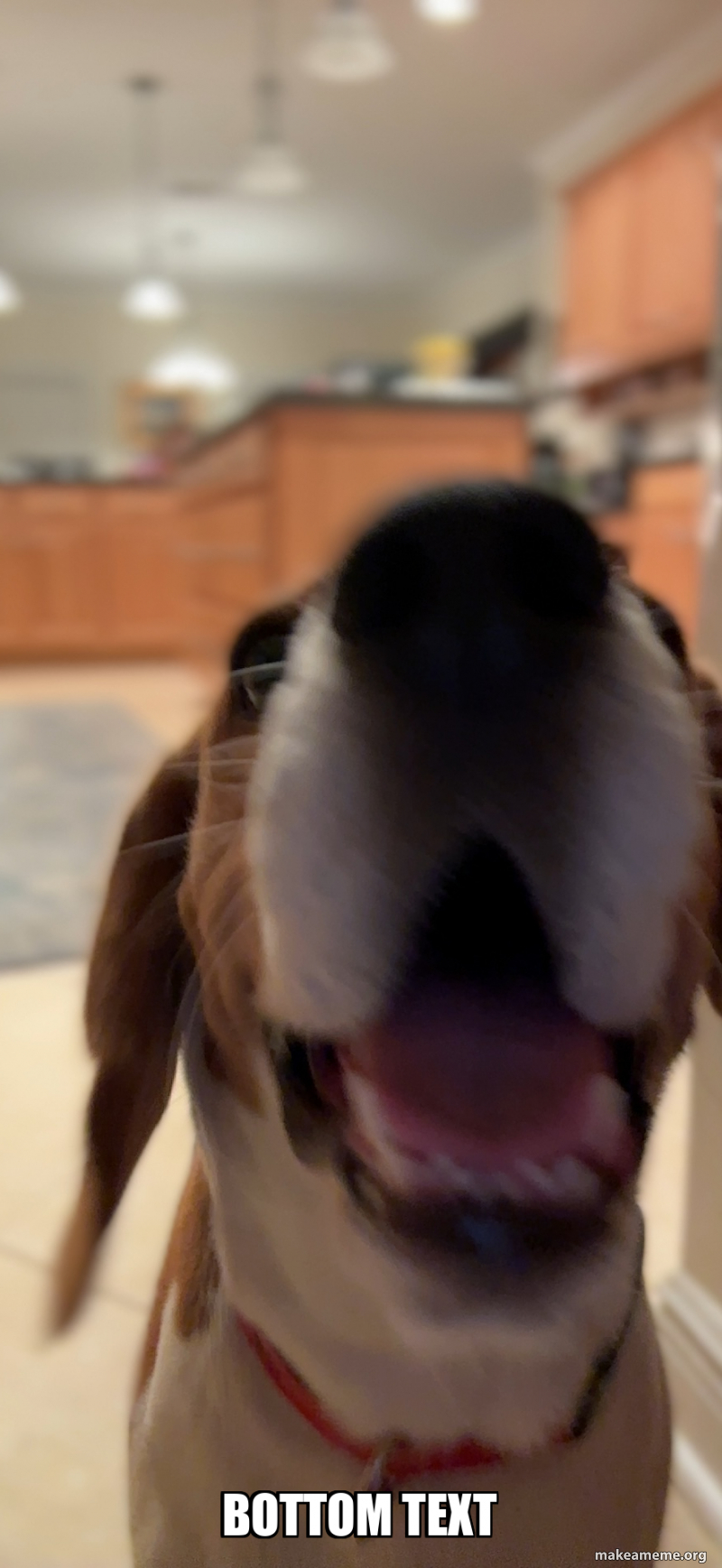 bottom text Meme Generator