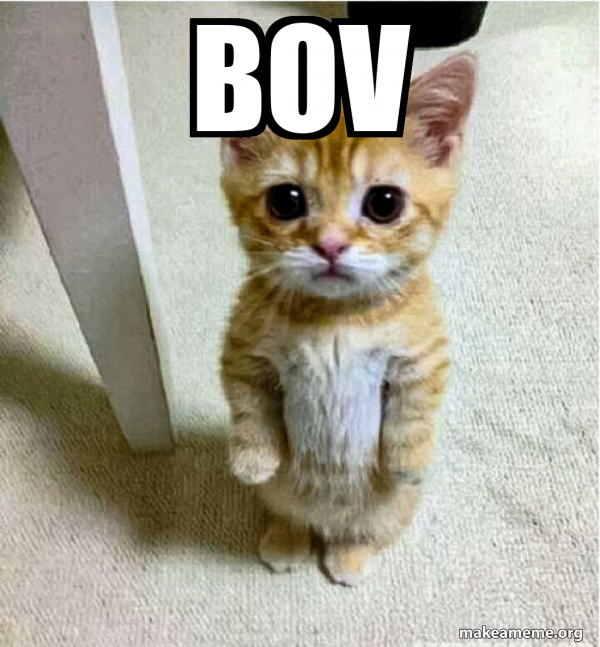 BOV - Cute Cat Standing Meme Generator