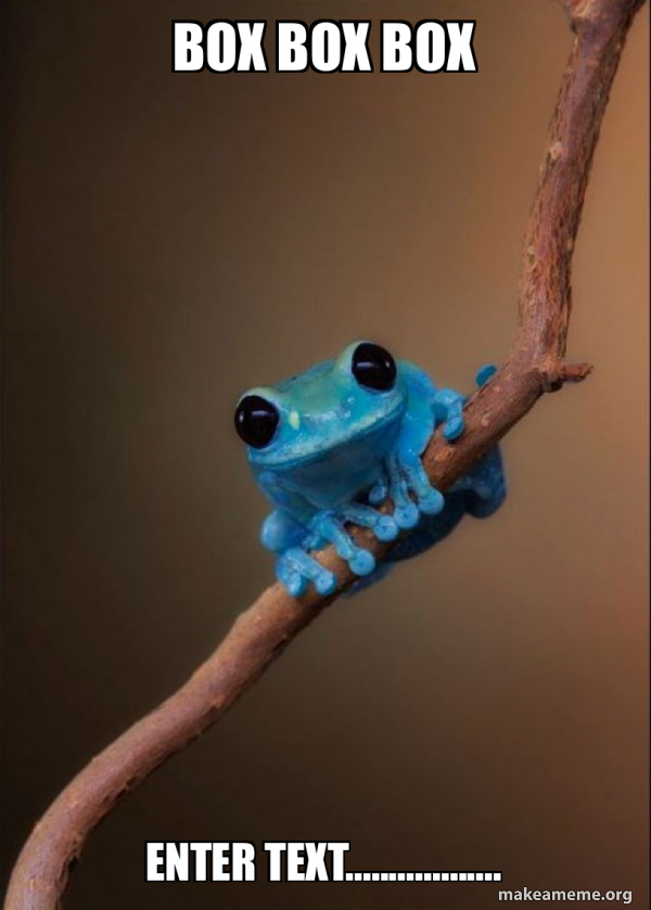 BOX BOX BOX Enter text.................. - Small Fact Frog Meme Generator