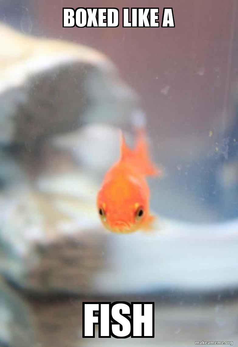 Boxed like a Fish - Grumpy Fish Meme Generator