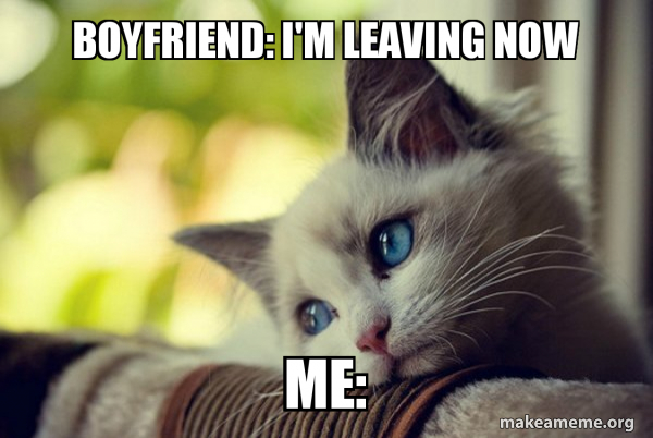 boyfriend: I'm leaving now me: - First World Cat Problems Meme Generator