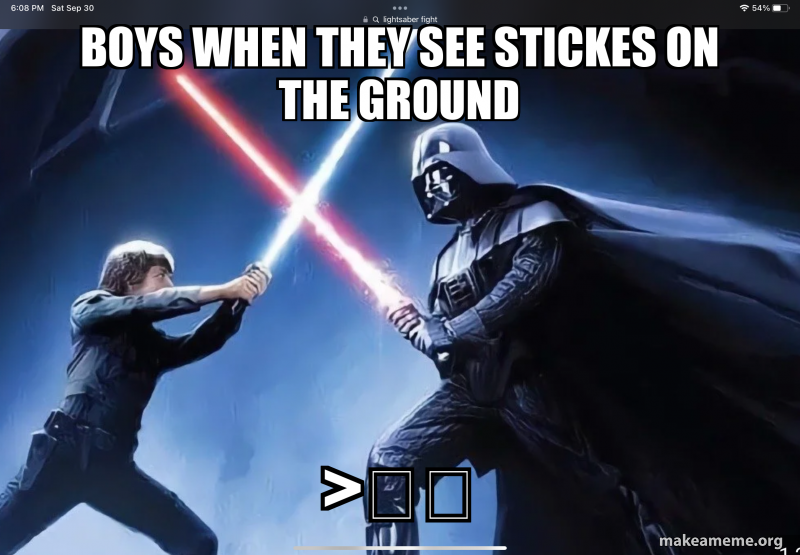 Boys when they see stickes on the ground >：） Meme Generator
