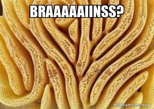BRAAAAAIINSS? Meme Generator