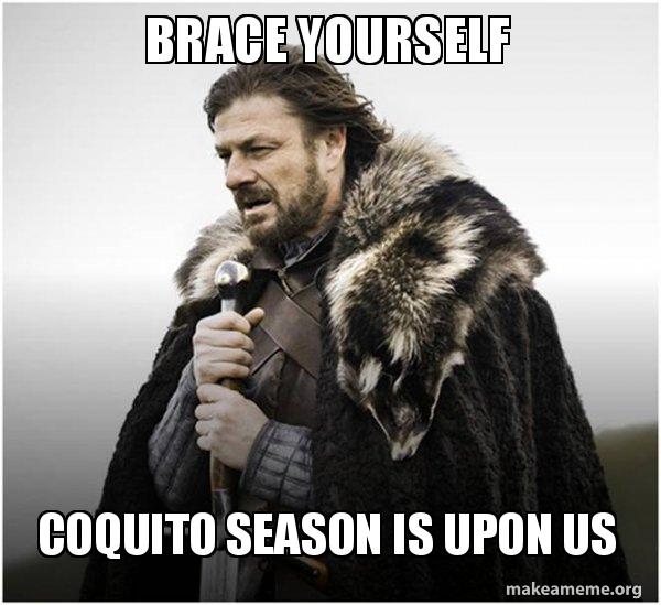 Memes Coquito Amazon.com: I'm Here For Coquito Funny Hispanic