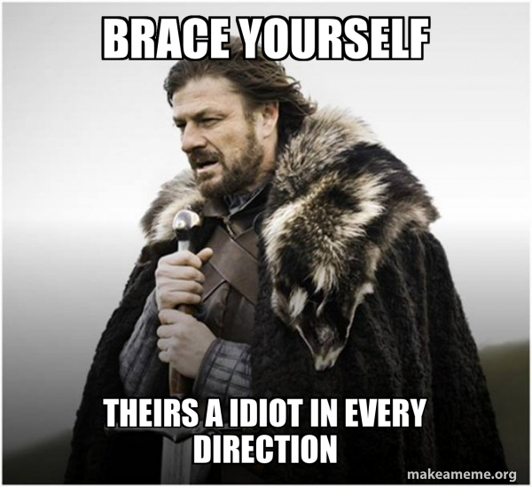 Brace yourself Theirs a idiot in every direction - Brace Yourself ...