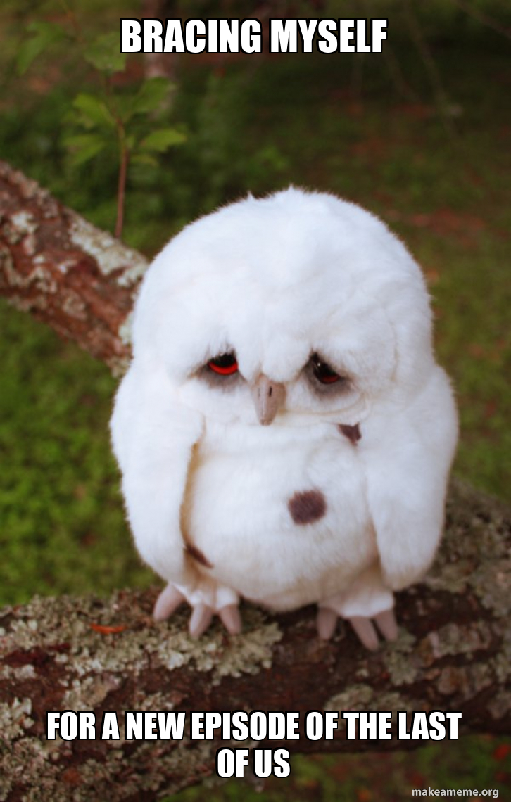 Bracing myself For a new Episode Of the last of us - Sad Owl Meme Generator