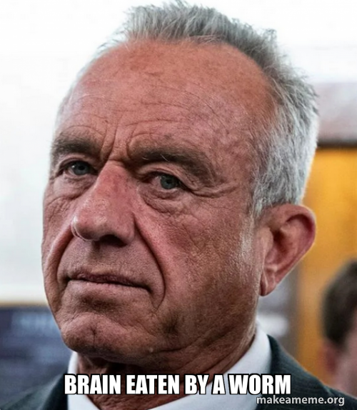 BRAIN EATEN BY A WORM Meme Generator