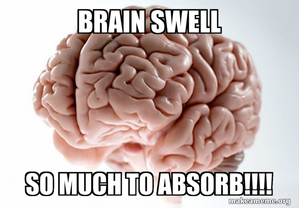 Brain Swell So much to absorb!!!! - Scumbag Brain Meme Generator