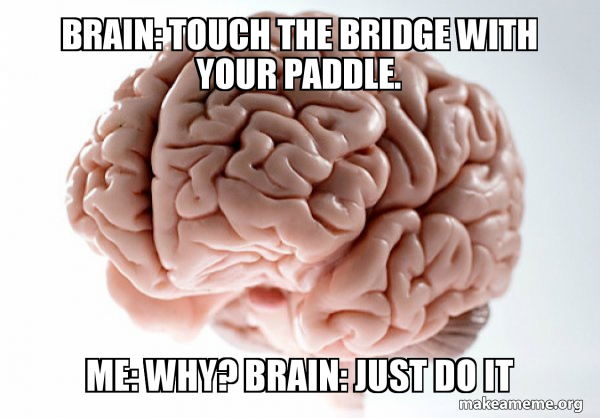 Brain: Touch the bridge with your paddle. Me: why? Brain: Just do it ...