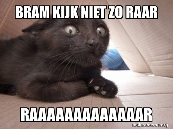 bram kijk niet zo raar raaaaaaaaaaaaar - Schitzo Cat Meme Generator