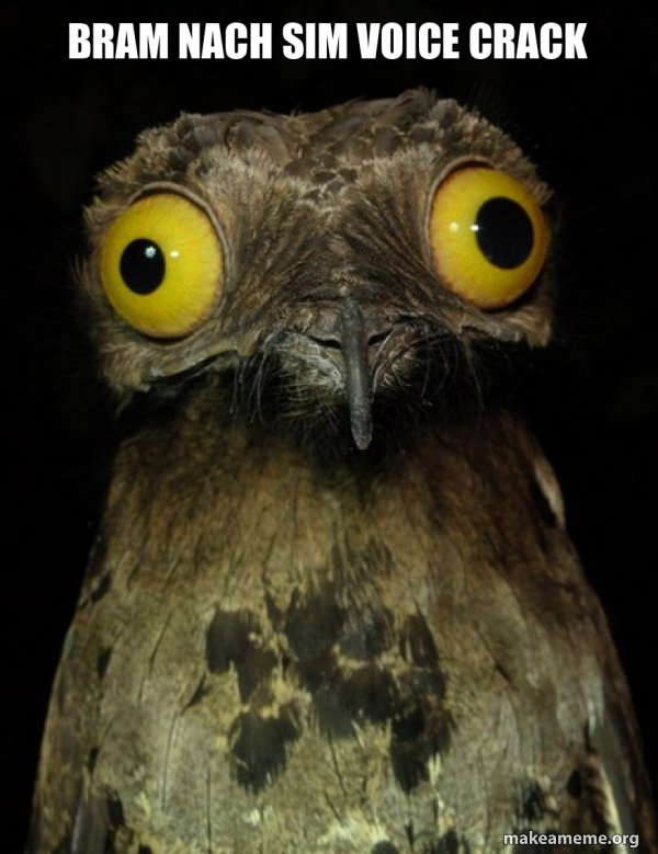 Bram Nach sim Voice Crack - Weird Stuff I do Potoo Meme Generator