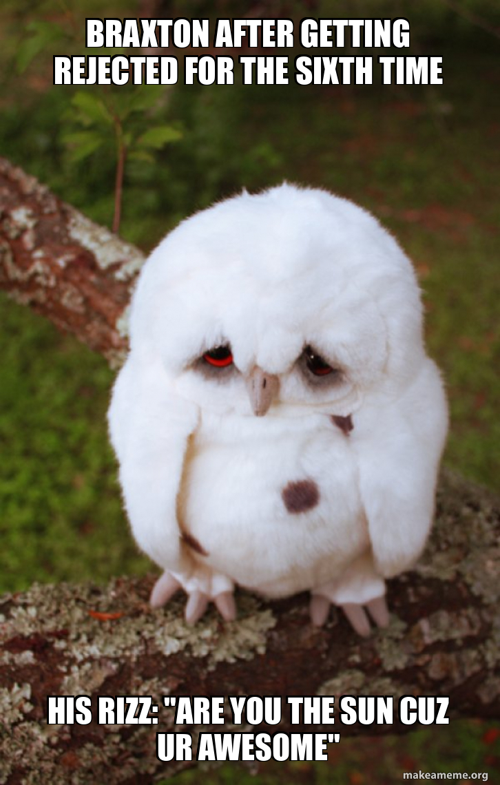 braxton after getting rejected for the sixth time his rizz: "are you ...