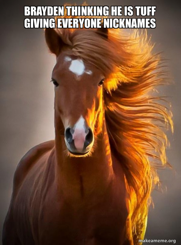 brayden thinking he is tuff giving everyone nicknames - Ridiculously ...