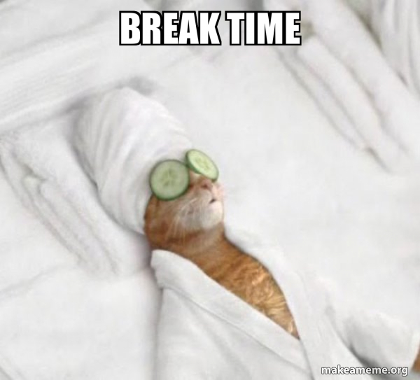 Break time - Pampered Cat Meme Meme Generator
