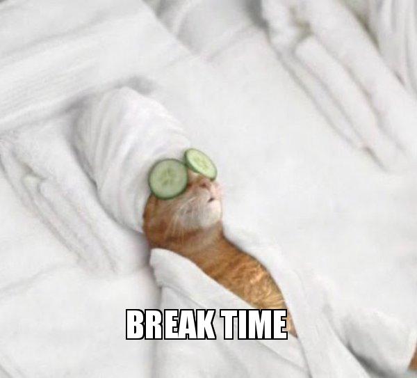 Break Time - Pampered Cat Meme Meme Generator