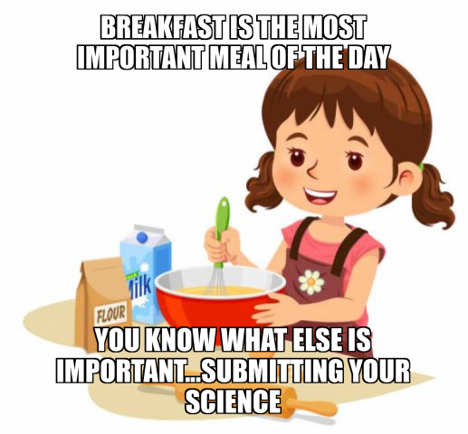 Breakfast is the most important meal of the day you know what else is ...