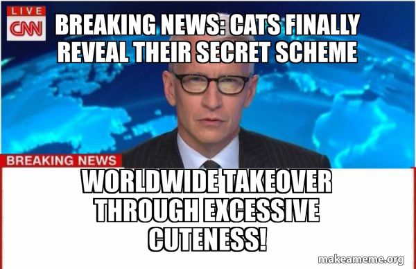Breaking News: Cats finally reveal their secret scheme Worldwide ...