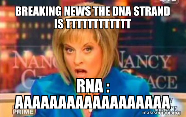 Breaking news the DNA Strand is TTTTTTTTTTTT RNA : AAAAAAAAAAAAAAAAAA ...