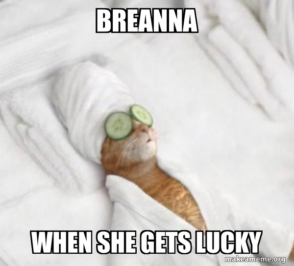 Breanna when she gets lucky - Pampered Cat Meme Meme Generator