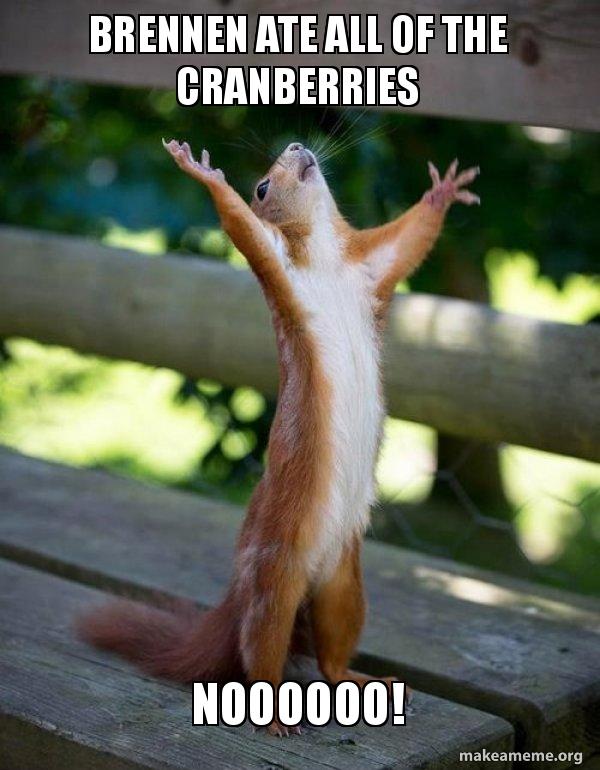 Brenn Meme