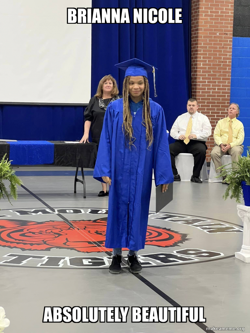 BRIANNA NICOLE ABSOLUTELY BEAUTIFUL Meme Generator