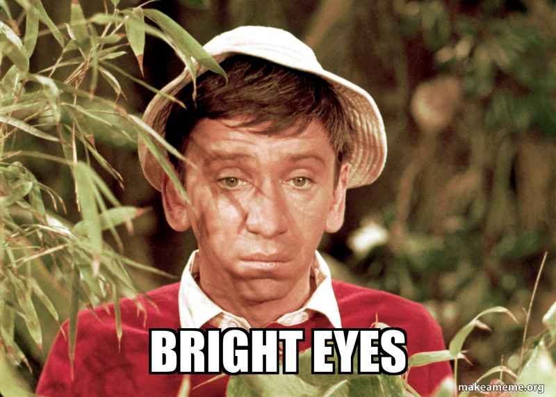 Bright Eyes Meme Generator