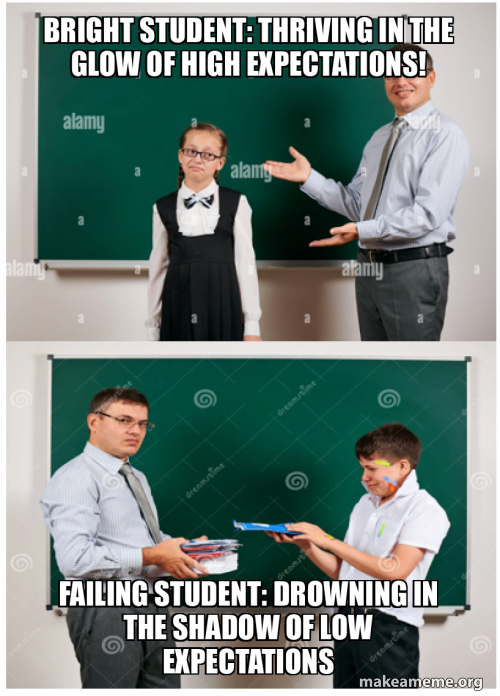 Bright student: Thriving in the glow of high expectations! Failing ...