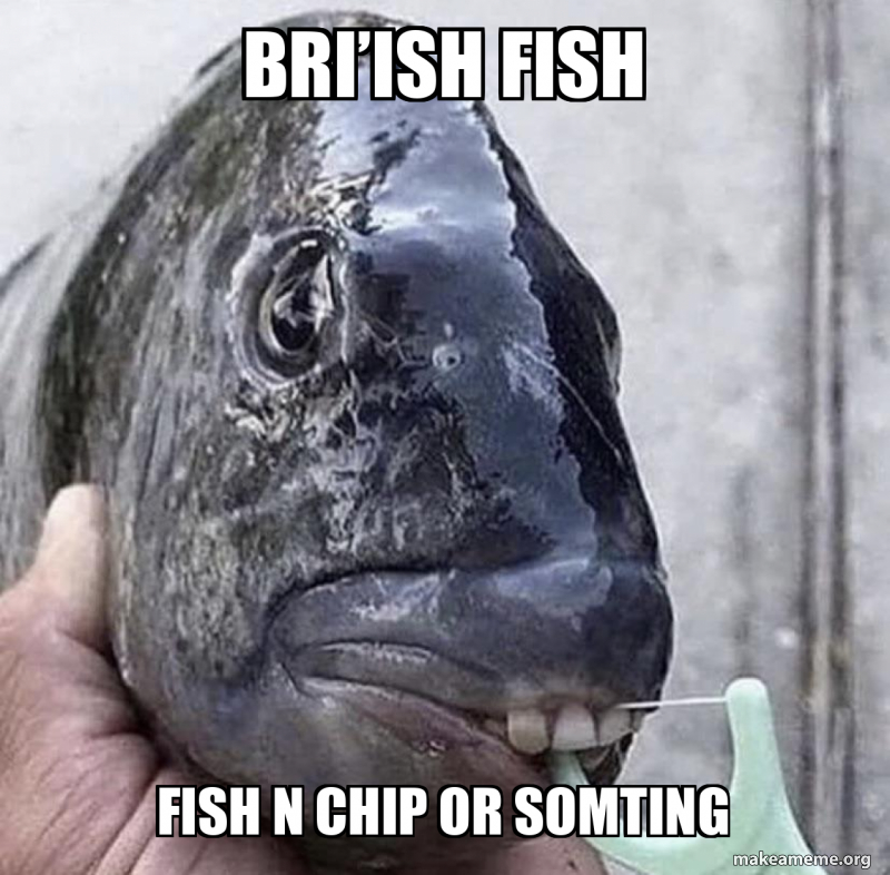 Bri’ish fish Fish n chip or somTing Meme Generator