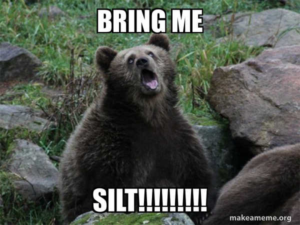 BRING ME SILT!!!!!!!!! - Sarcastic Bear Meme Generator