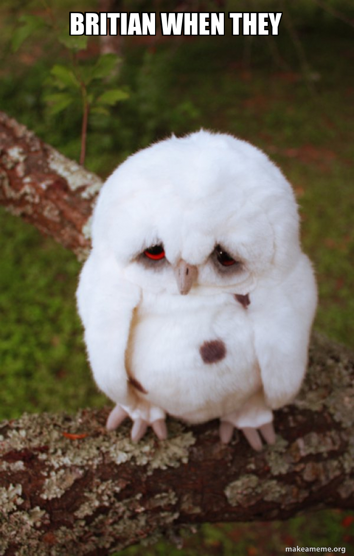Britian when they - Sad Owl Meme Generator