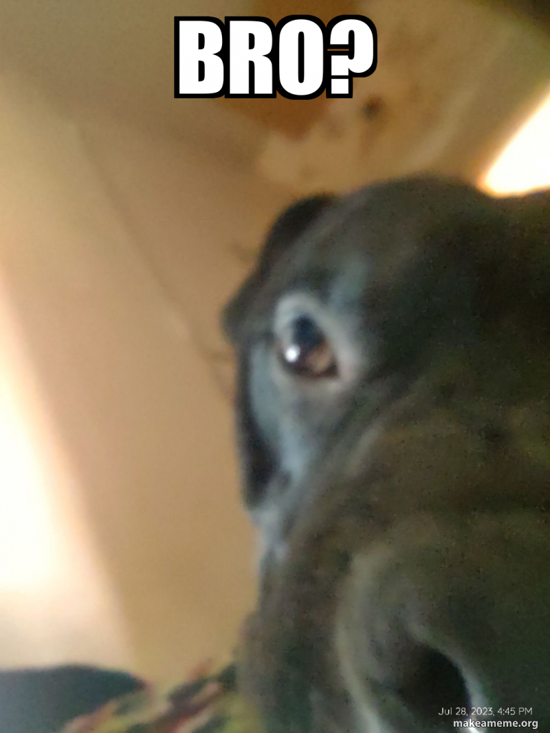 bro? Meme Generator