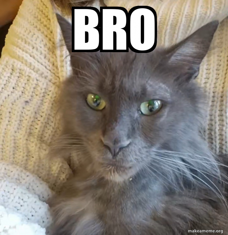 BRO Meme Generator