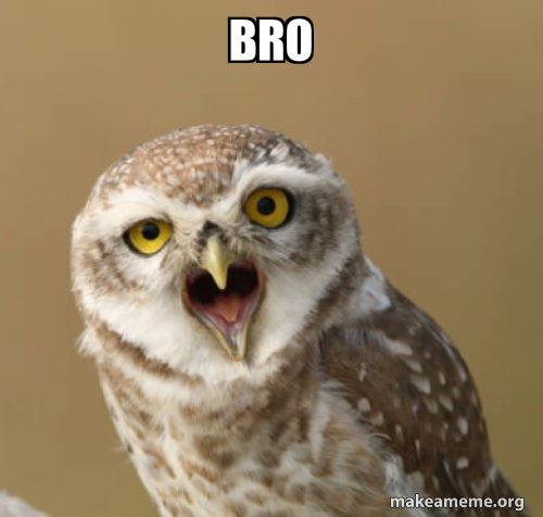 Bro Meme Generator