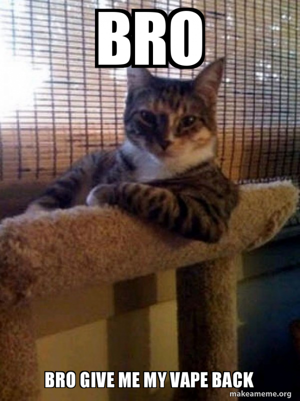 bro bro give me my vape back - The Most Interesting Cat in the World ...