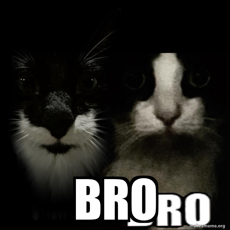BRO Meme Generator
