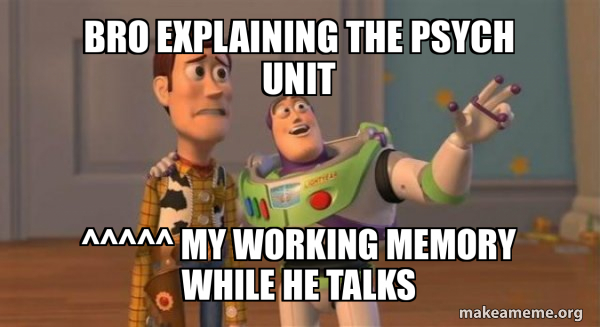 Bro explaining the psych unit ^^^^^ my working memory while he talks ...