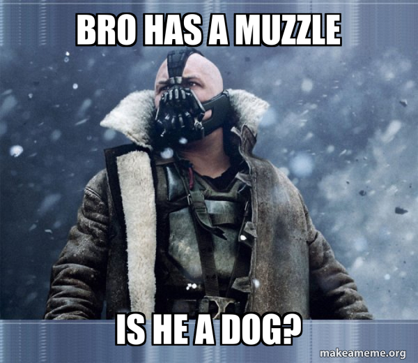Bro has a muzzle is he a dog? - Bane (born into it, molded by it) Meme ...