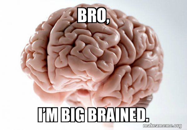 Bro, Iâ€™m big brained. - Scumbag Brain | Make a Meme