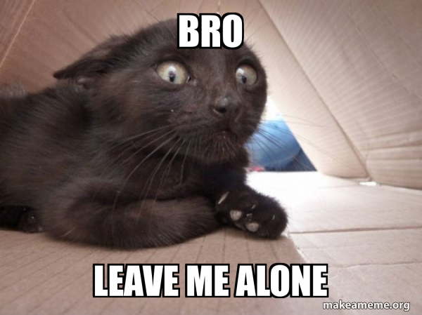 BRO LEAVE ME ALONE - Schitzo Cat | Make a Meme