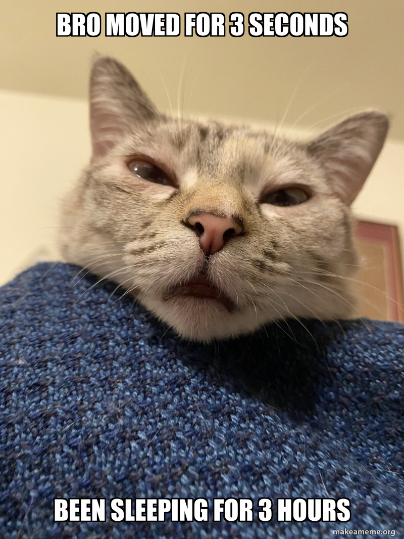 bro moved for 3 seconds been sleeping for 3 hours Meme Generator